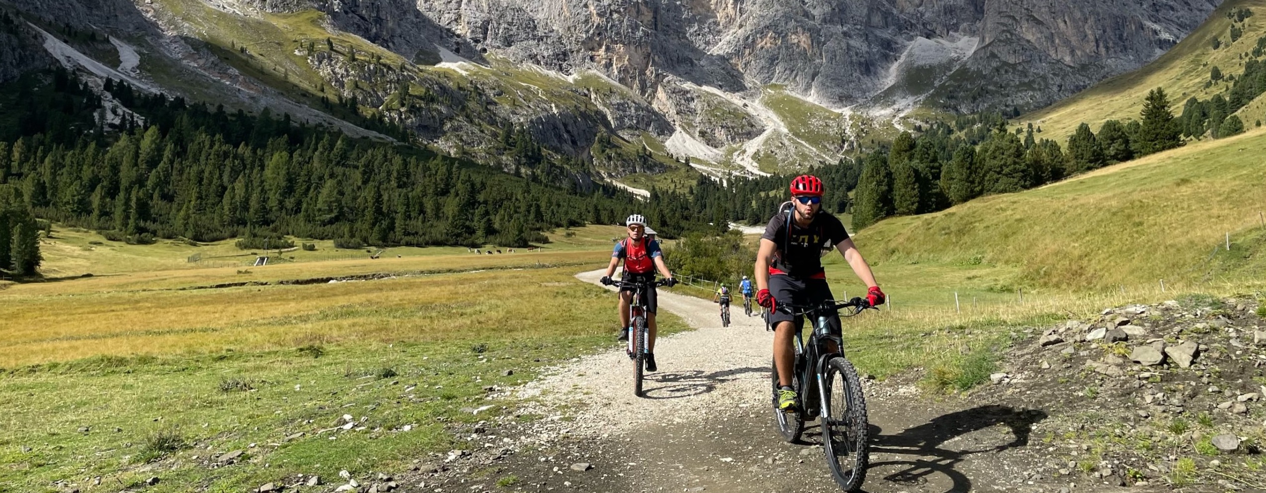 VTT - Les amis montagnards